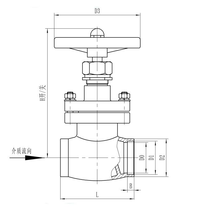 Cryogenic DN15 Socket Weld Globe Valve Low Temperarure