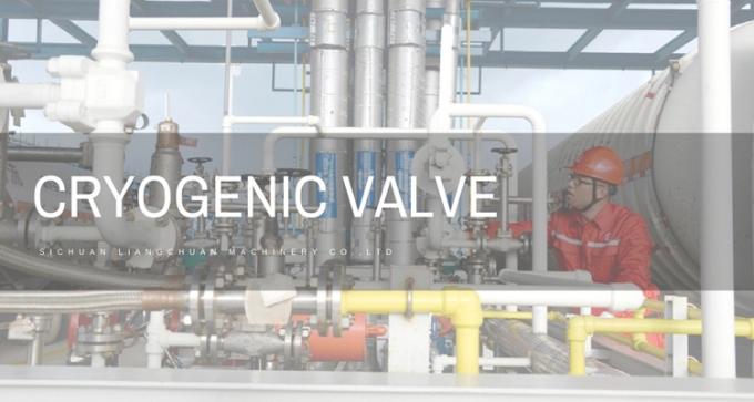 CF8 Cryogenic Check Valve