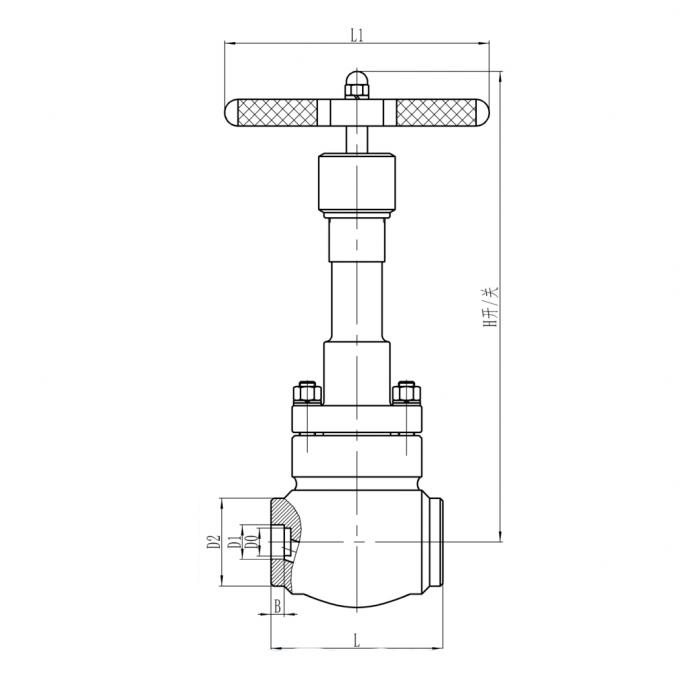 SS304 / 316 SW BW Connection Cryogenic Globe Valve PN320