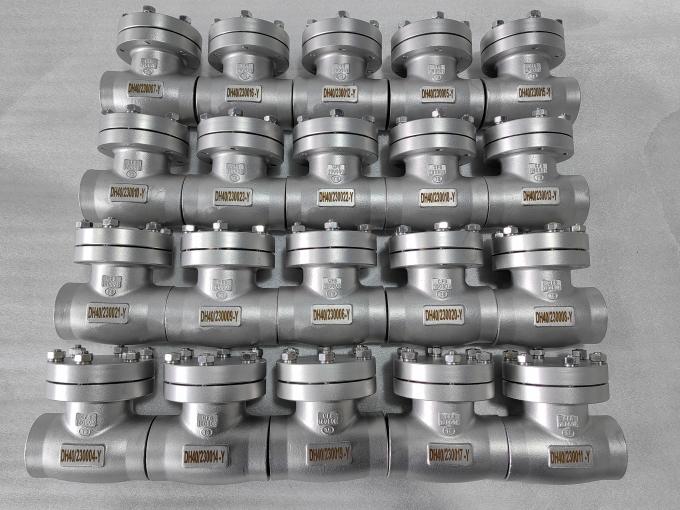 Stainless Steel CDH61F DN25/DN40 Cryogenic Check Valve for LNG/LOX/LN2 ...