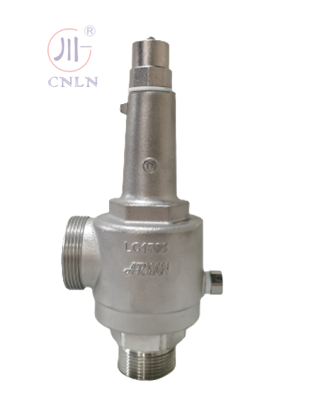 DN25 Stainless Steel DA22Y Cryogenic Safety Valve For LNG/LOX/LN2/LAR/LCO2