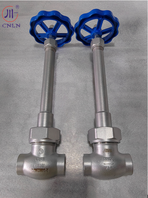 PN40 DN15 SS304/SS316 Low Temperature Globe Valve For LNG/LOX/LN2/LAR/LCO2