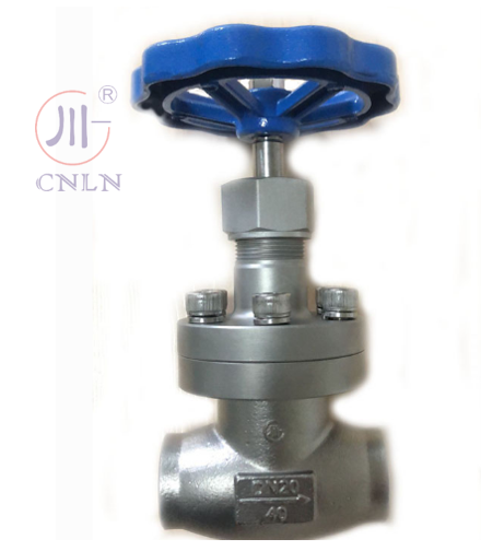 PN40 DN20 Stainless Steel Low Temperature Globe Valve Short Stem For ...
