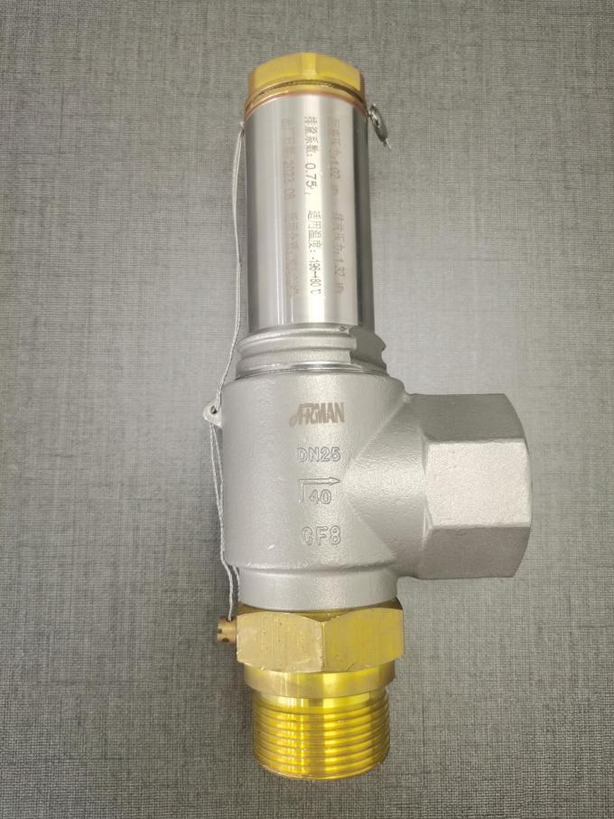 Cryogenic Full Lift Safety Valve DN50 PN40 For Cryogenic Tank / Skid / Pump