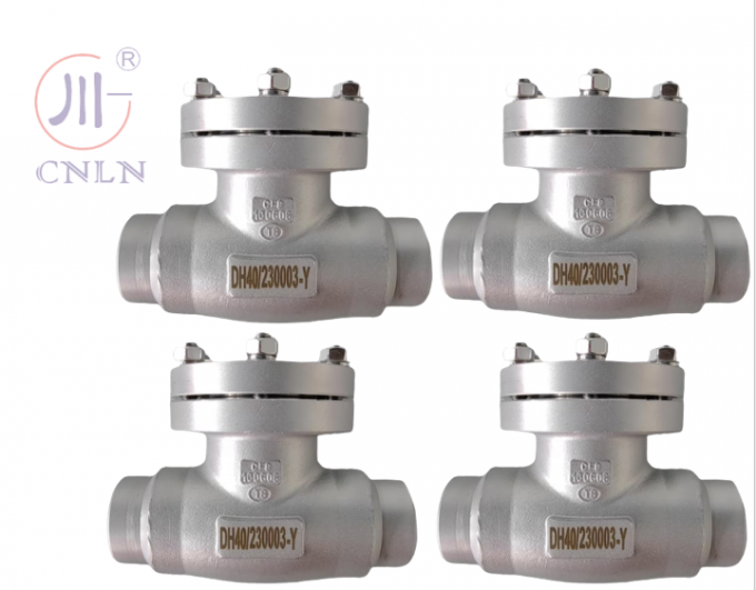 CF3/CF8 Cryogenic Check Valve For LNG/LOX/LN2/LAR/LCO2 Cryogenic ...