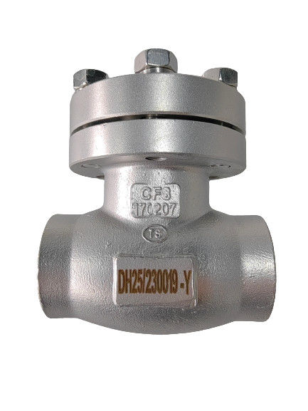 Stainless Steel CDH61F DN25 Cryogenic Check Valve for LNG/LOX/LN2/LAR/LCO2