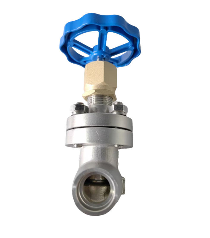Sort stem LN2 DN25 Cryogenic Socket Weld Globe Valve DJ61F-40P for LNG/LOX/LN2/LAR/LCO2