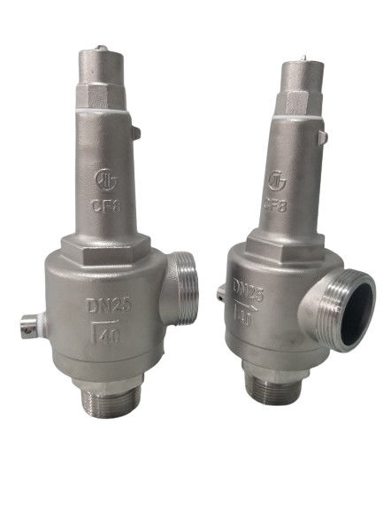 DN25 Spring Direct Acting Full Open Cryogenic Safety Valve