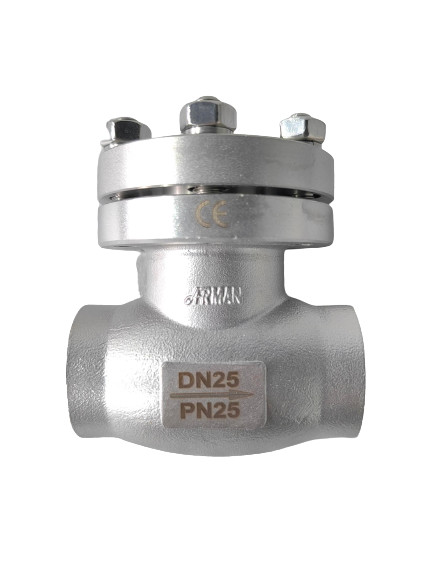 Stainless Steel DN25 PN25 Cryogenic Check Valve Disc Shaped OEM For LNG
