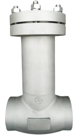 Stainless Steel Cryogenic Insulation Check Valve SW Connection