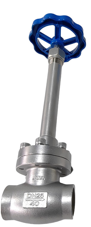 SW Connection SS304 DN25 Cryogenic Globe Valve 5.0MPa Working Pressure
