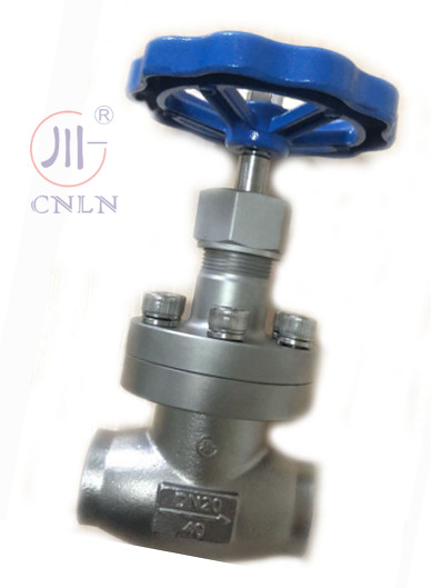 CNLN/Arman DJ61F-40P SS304/316 Cryogenic Globe Valve Short Stem-Type A(DN10-100mm) for LNG/LOX ...