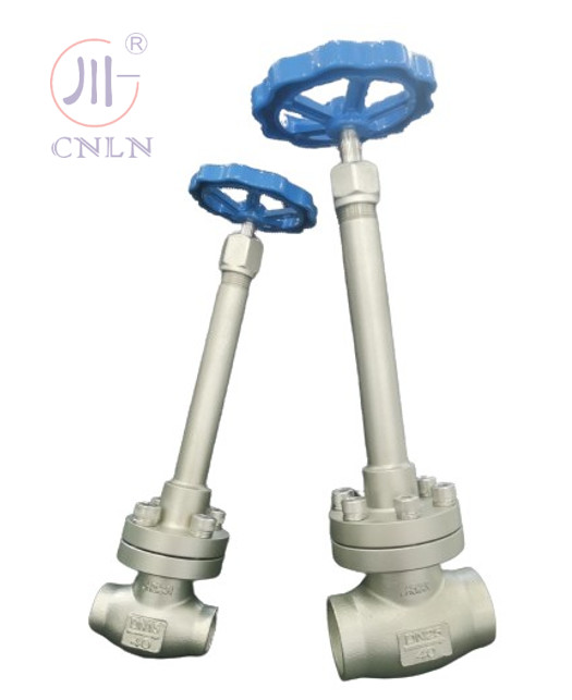 CF3/CF8 Stainless Steel Cryogenic Globe Valve DN25/DN15 For LNG/LOX/LN2/LAR/LCO2