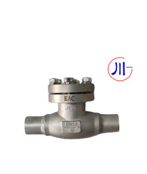 BW Cryogenic Check Valve DN10-100mm