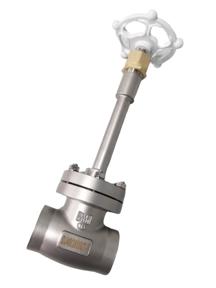 Cryogenic CF8 SS304 SS316 WCB Socket Weld Globe Valve