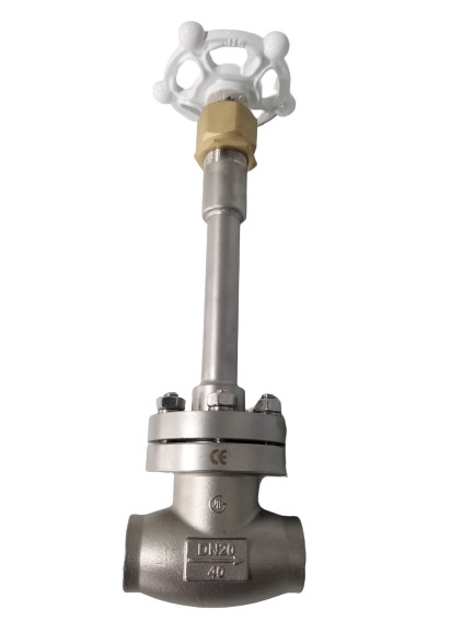 DN65 SS304/316 Cryogenic Socket Weld Globe Valve