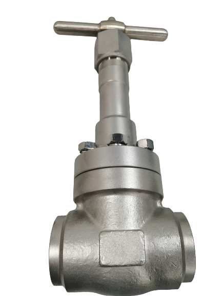 SS304 / 316 SW BW Connection Cryogenic Globe Valve PN320